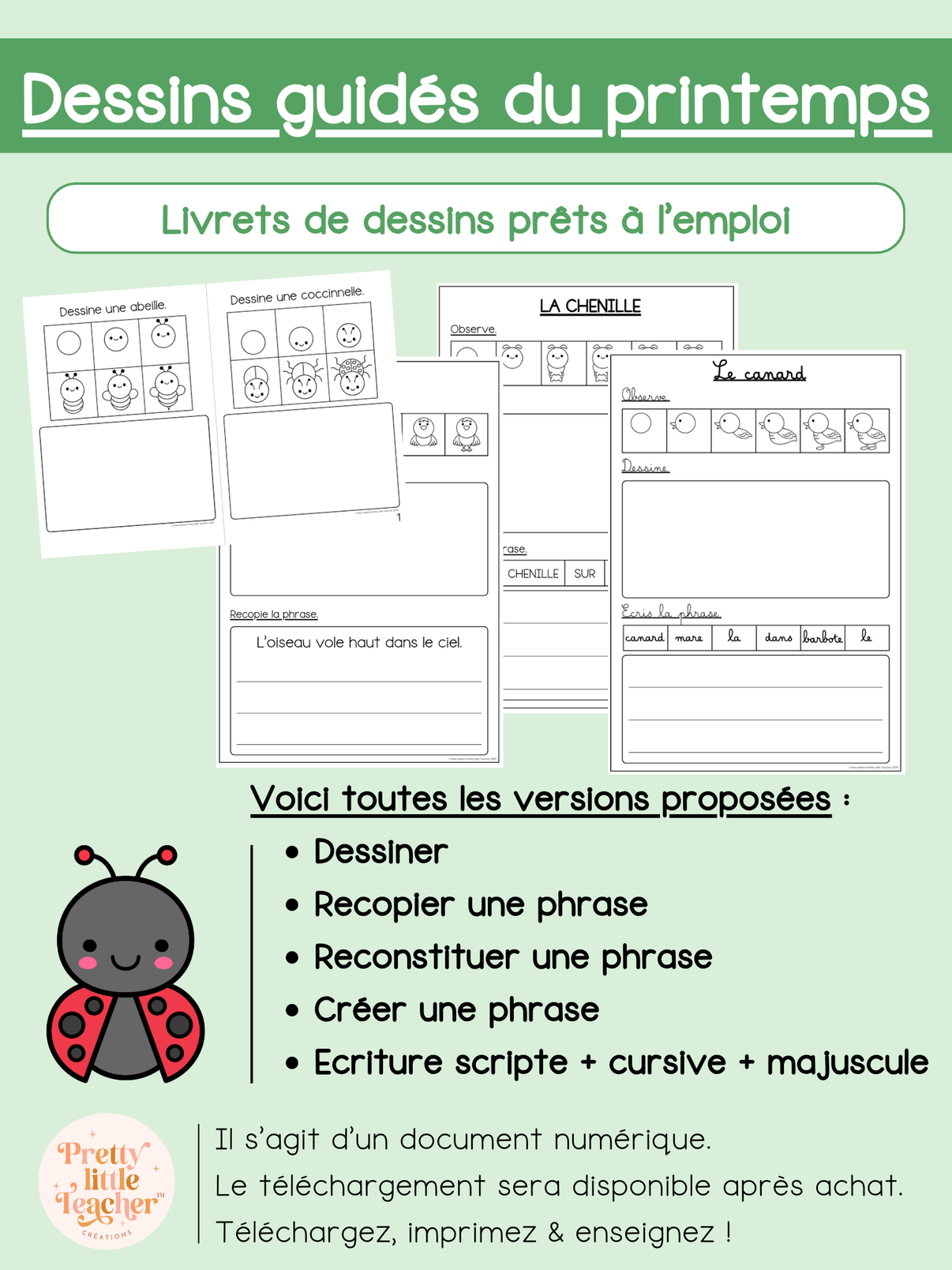 Dessins guidés du printemps – Pretty Little Teacher